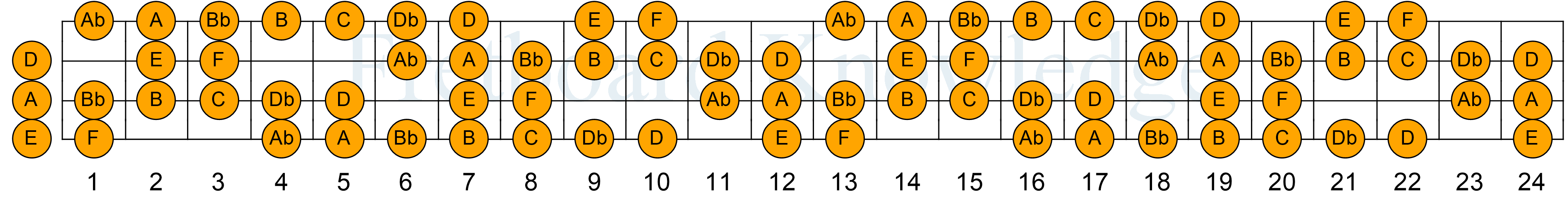 C Db D E F Ab A Bb B - Bass Guitar Fretboard Knowledge