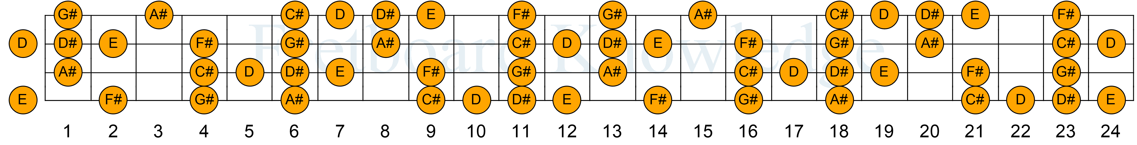 Db D Eb E Gb Ab Bb - Bass Guitar Fretboard Knowledge